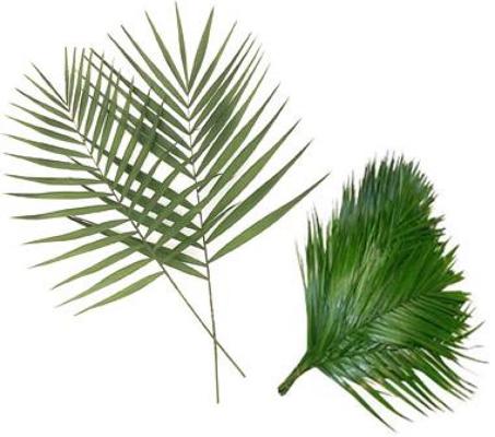 Boulevard Florist :: Wholesale Florist and Flowers in Los Angeles